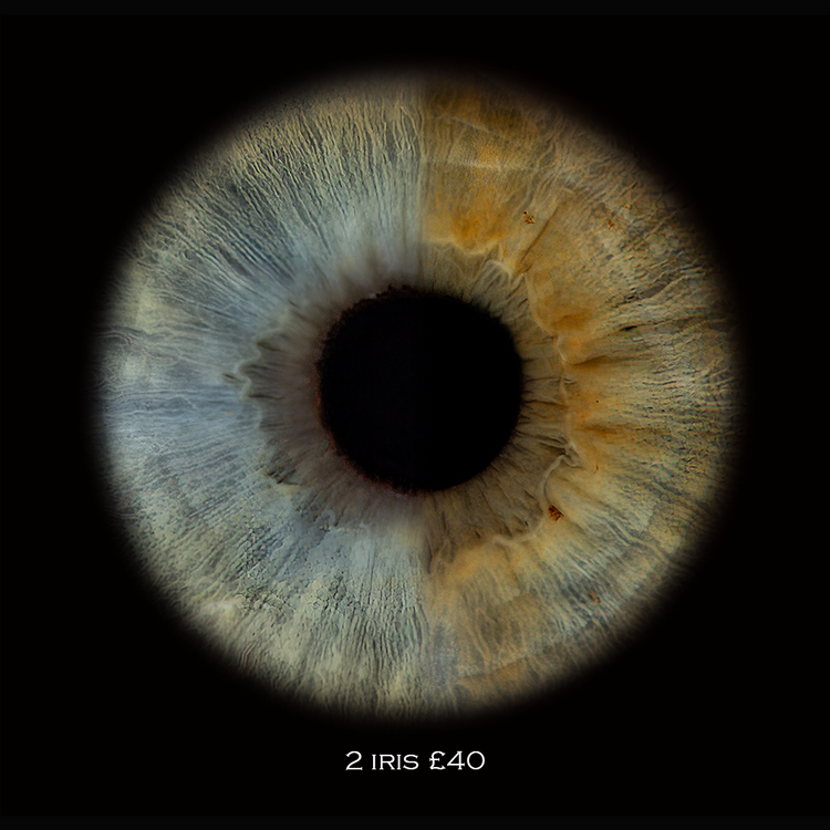 Wall Art and Prices – The Iris Photographer