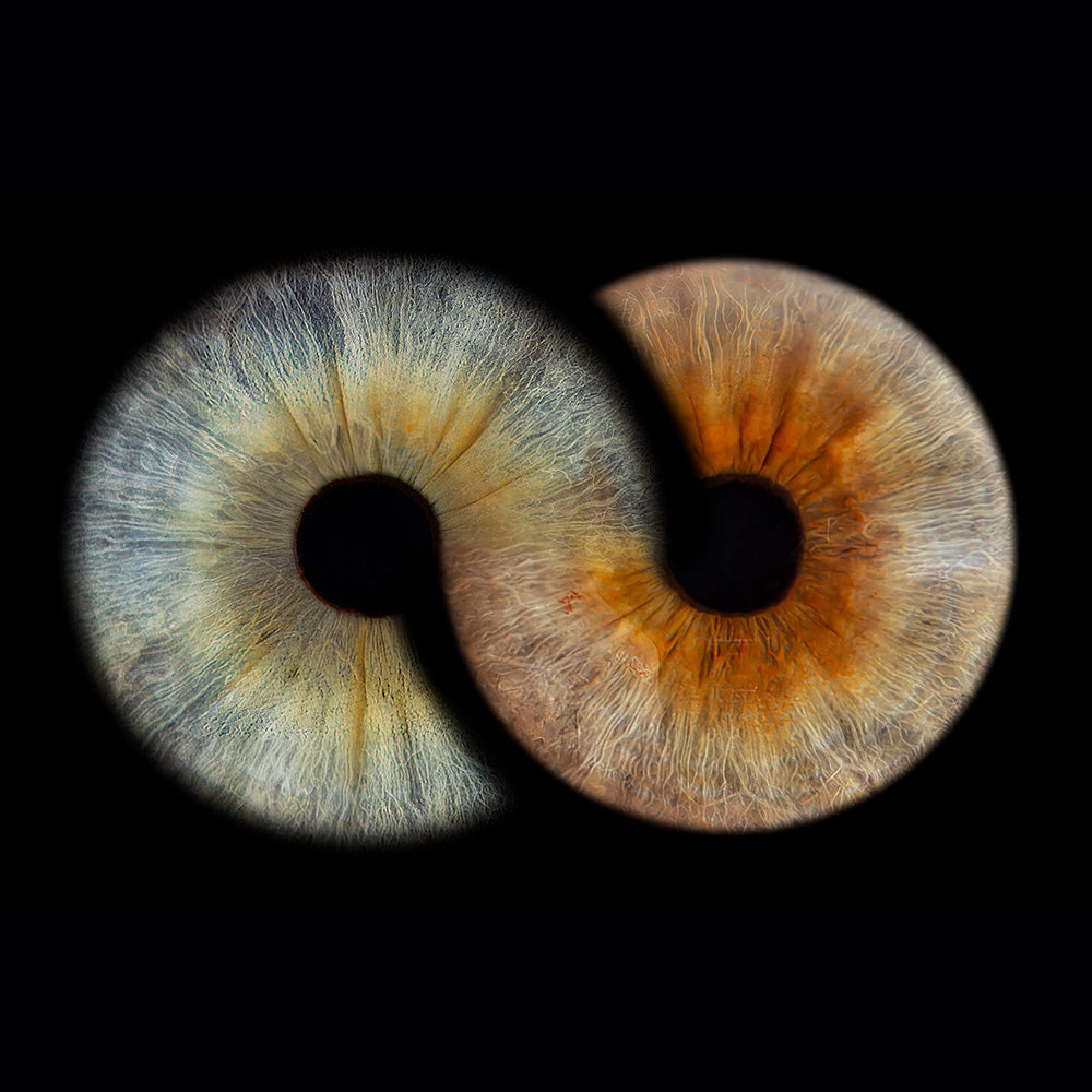 Iris Effects – The Iris Photographer