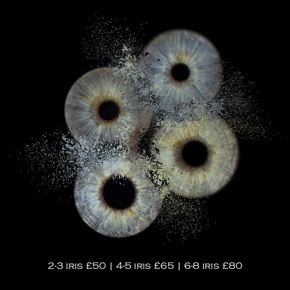 Wall Art and Prices – The Iris Photographer