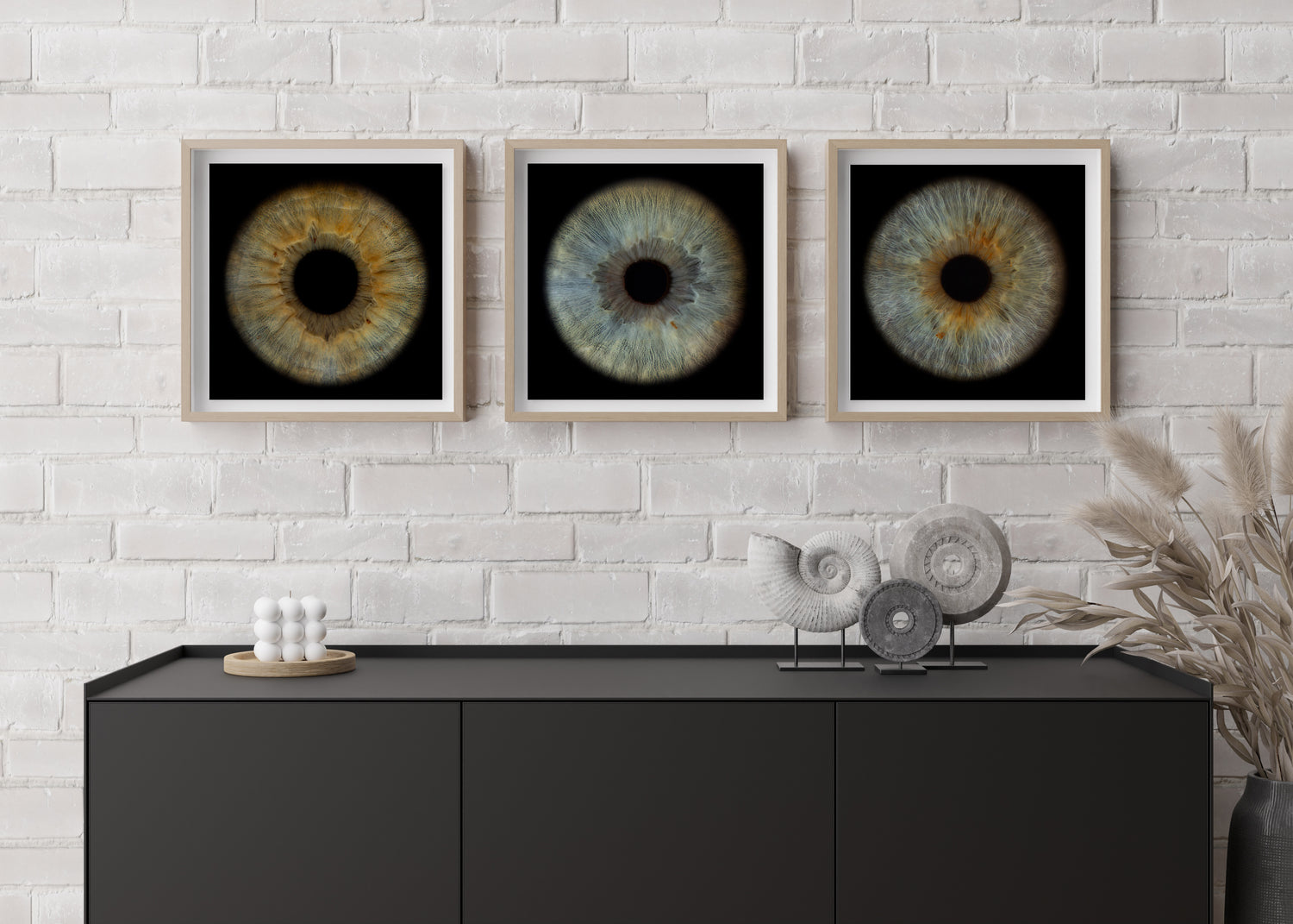 The Iris Photographer