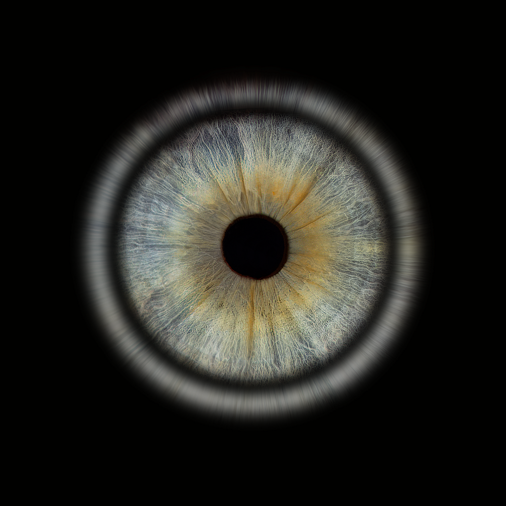 Iris Effects – The Iris Photographer